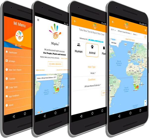 More About Mipha – Mipha Home